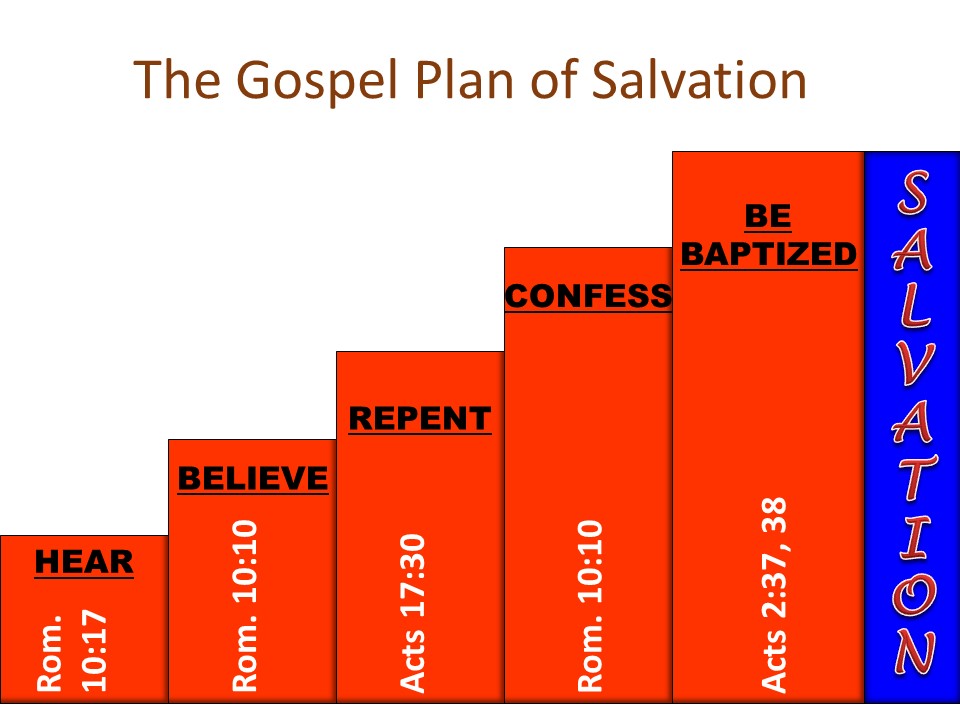 Plan Of Salvation : Plan of Salvation – VESH